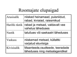Eesti roomajad | PPT