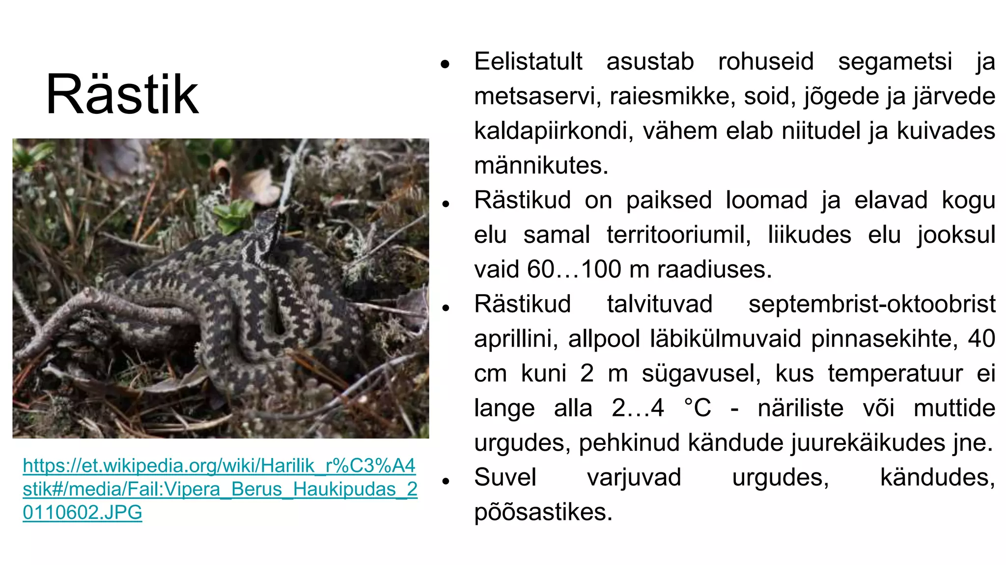 Eesti roomajate elupaigad ja eluviisid | PPT