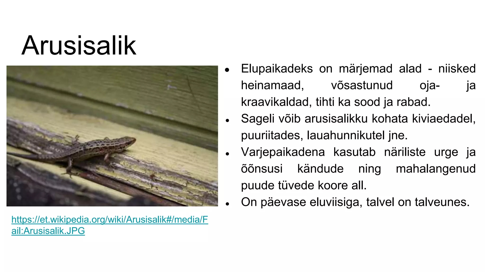 Eesti roomajate elupaigad ja eluviisid | PPTX