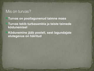 Eesti sood | PPT