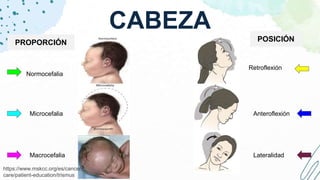 EEXPOSICIÓN CABEZA Y ORGANOS DE LOS SENTIDOS (OJO9 (4) (1).pptx