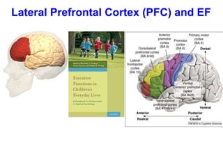 Ef กับการเรียนรู้ใน ศ. ๒๑ rlg 601127 | PPTX