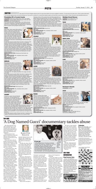 CHRONICLE_GUCCI_C3_011716 | PDF