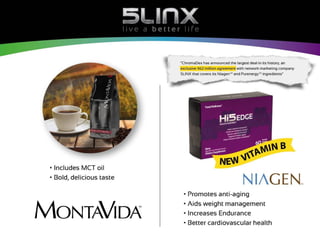Revised 5Linx Presentation | PDF