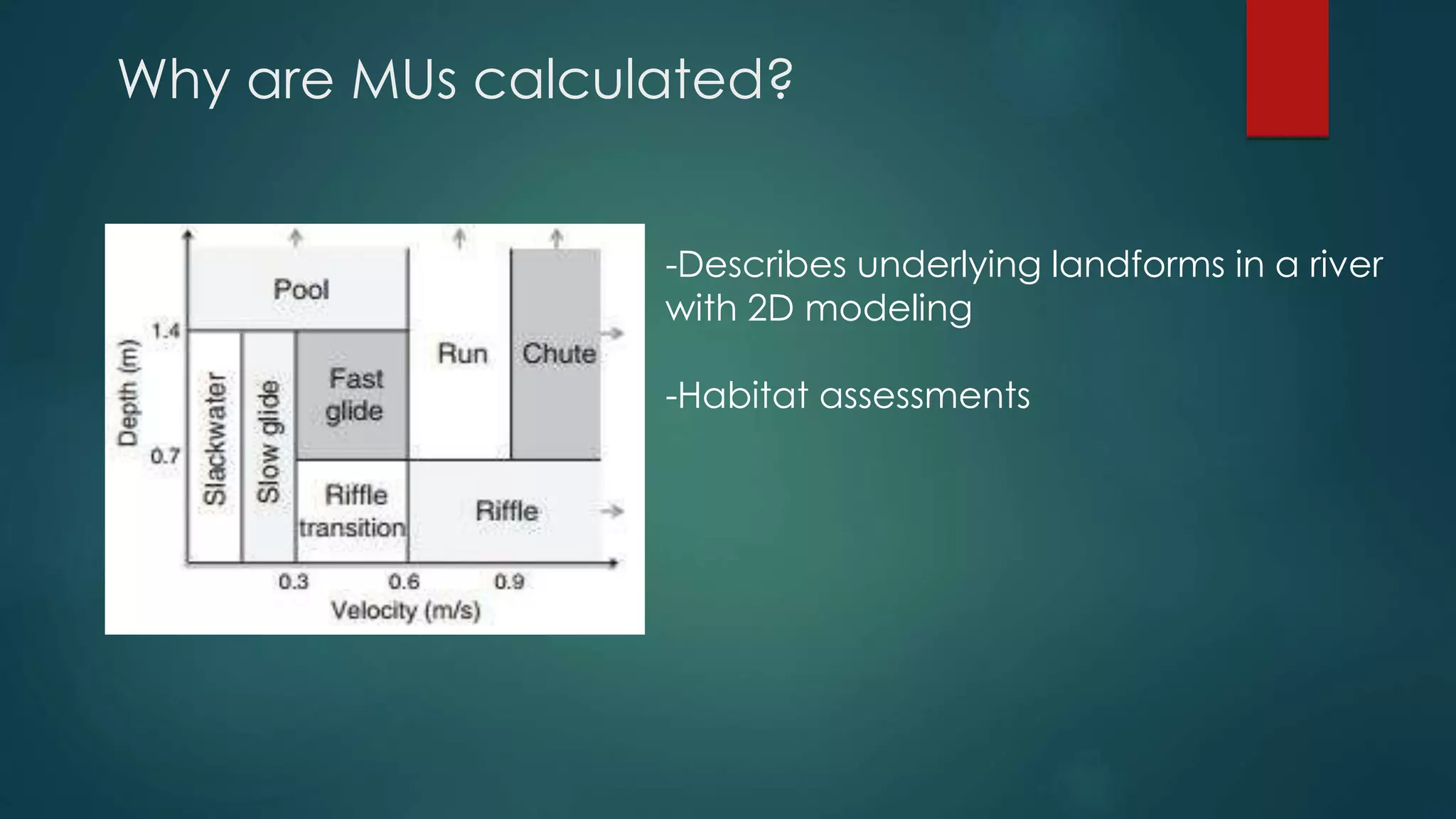 Morphological Unit (1) (1) | PPTX