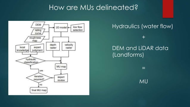 Morphological Unit (1) (1) | PPT