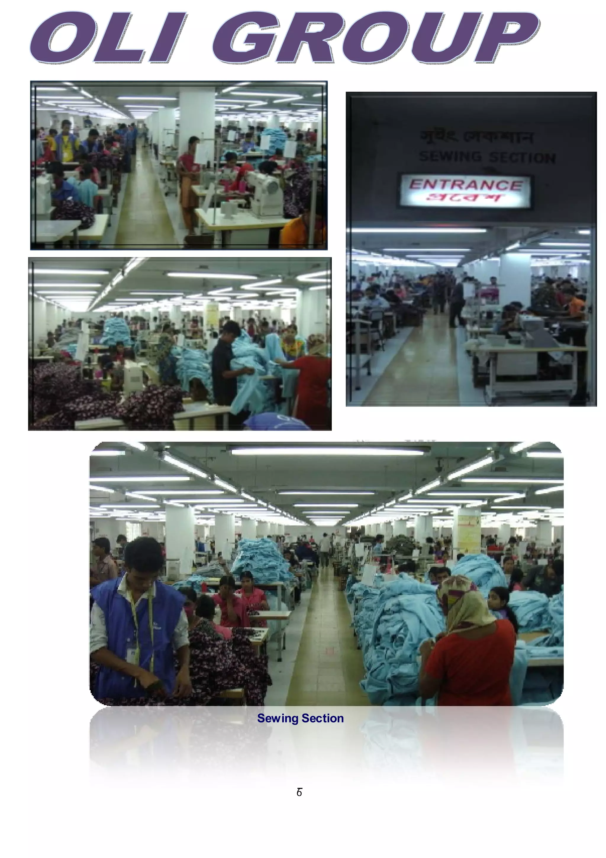 Factory Profile for oli group | PDF