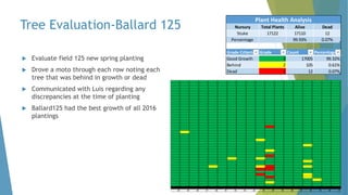 Final Presentation | PPT