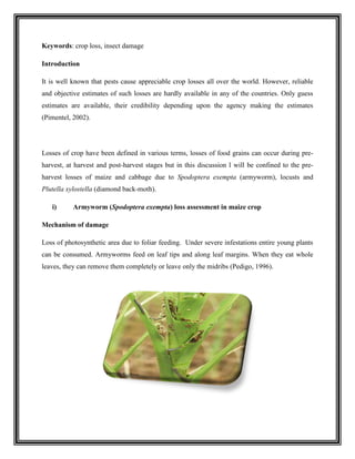 Crop loss assessment | PDF