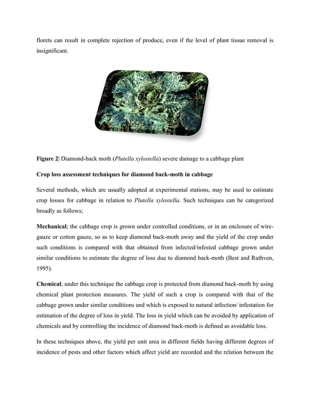 Crop loss assessment | PDF | Agriculture | Industries