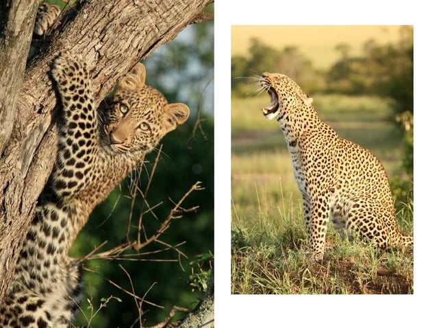 Max Photography Portfolio_low res | PDF