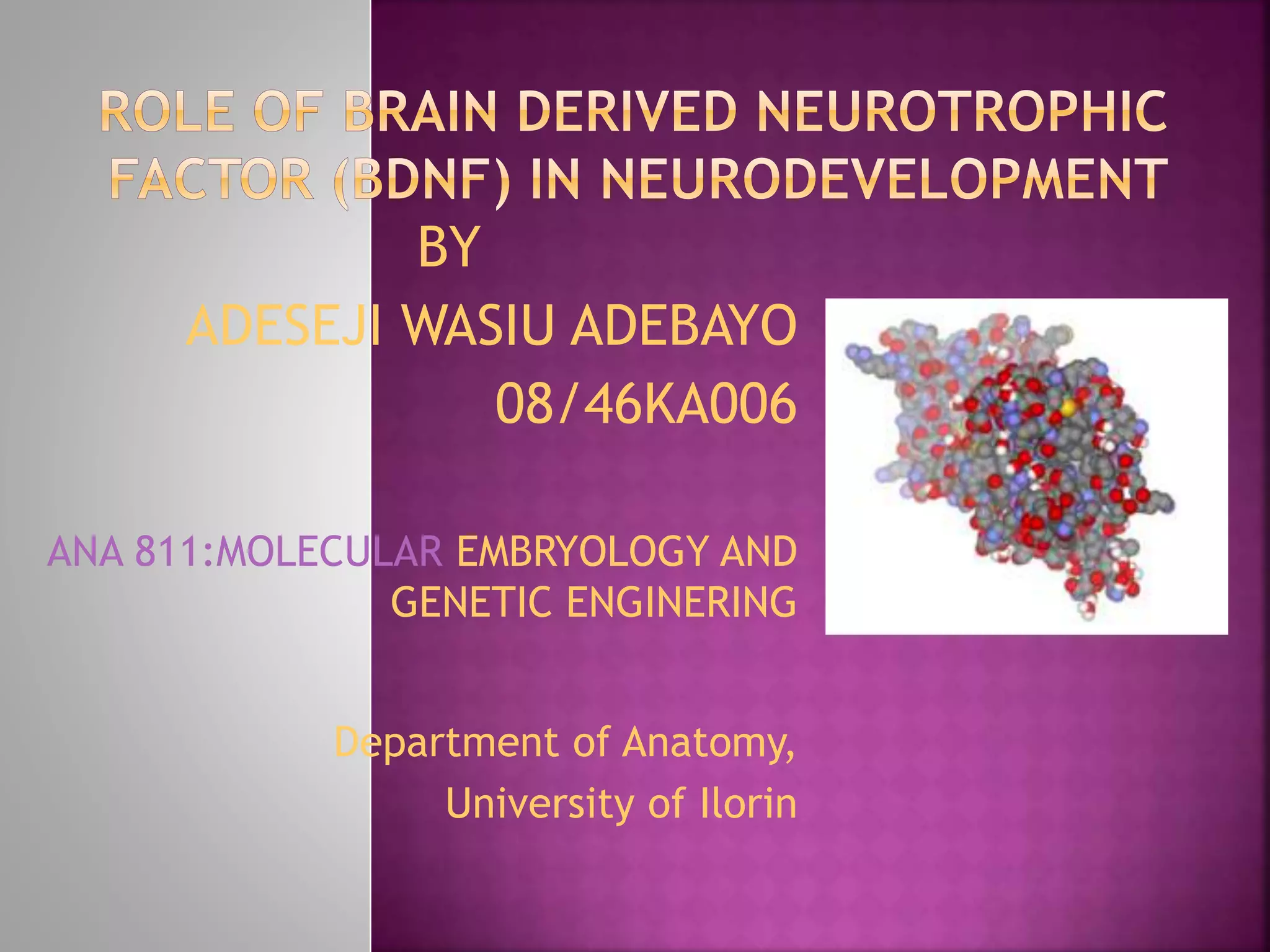 Role of Brain Derived Neurotrophic Factor (BDNF) in NEURODEVELOPMENT | PPTX