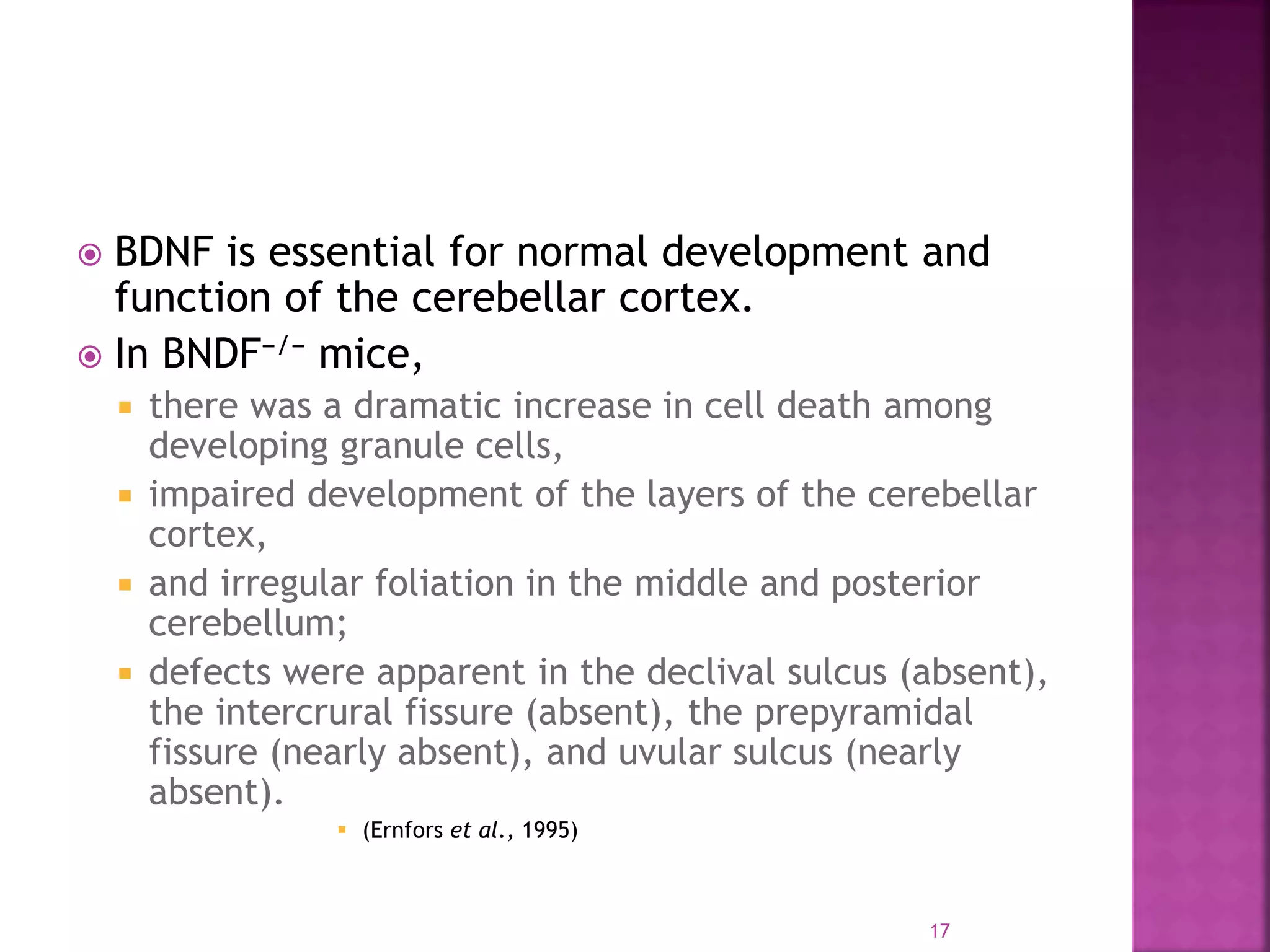Role of Brain Derived Neurotrophic Factor (BDNF) in NEURODEVELOPMENT ...