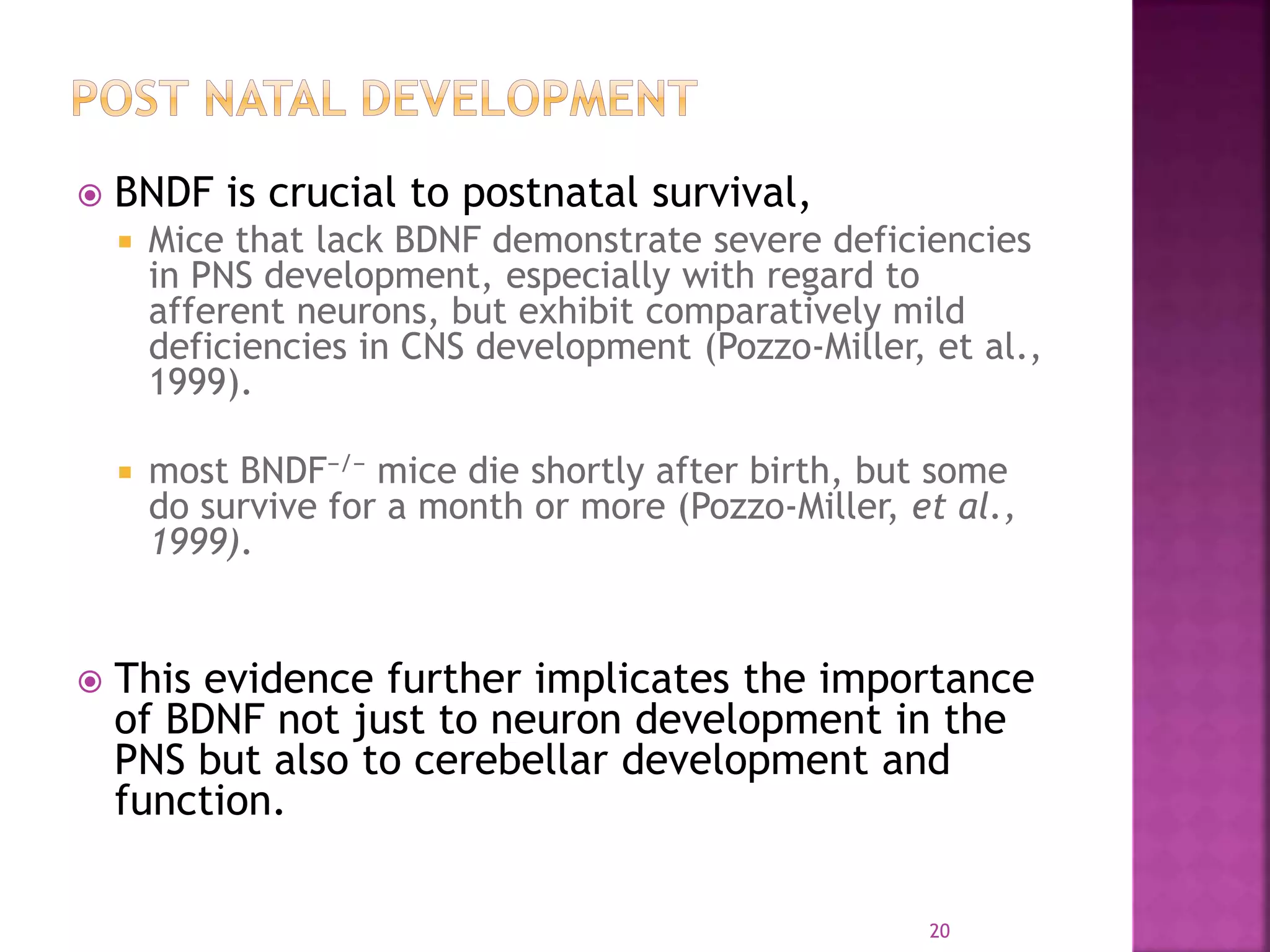 Role of Brain Derived Neurotrophic Factor (BDNF) in NEURODEVELOPMENT ...
