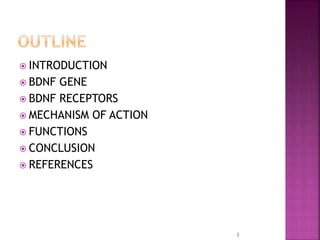 Role of Brain Derived Neurotrophic Factor (BDNF) in NEURODEVELOPMENT | PPTX