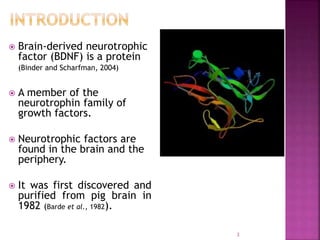 Role of Brain Derived Neurotrophic Factor (BDNF) in NEURODEVELOPMENT | PPTX