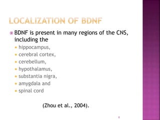 Role of Brain Derived Neurotrophic Factor (BDNF) in NEURODEVELOPMENT | PPTX