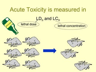 toxicity-of-pesticides | PPT
