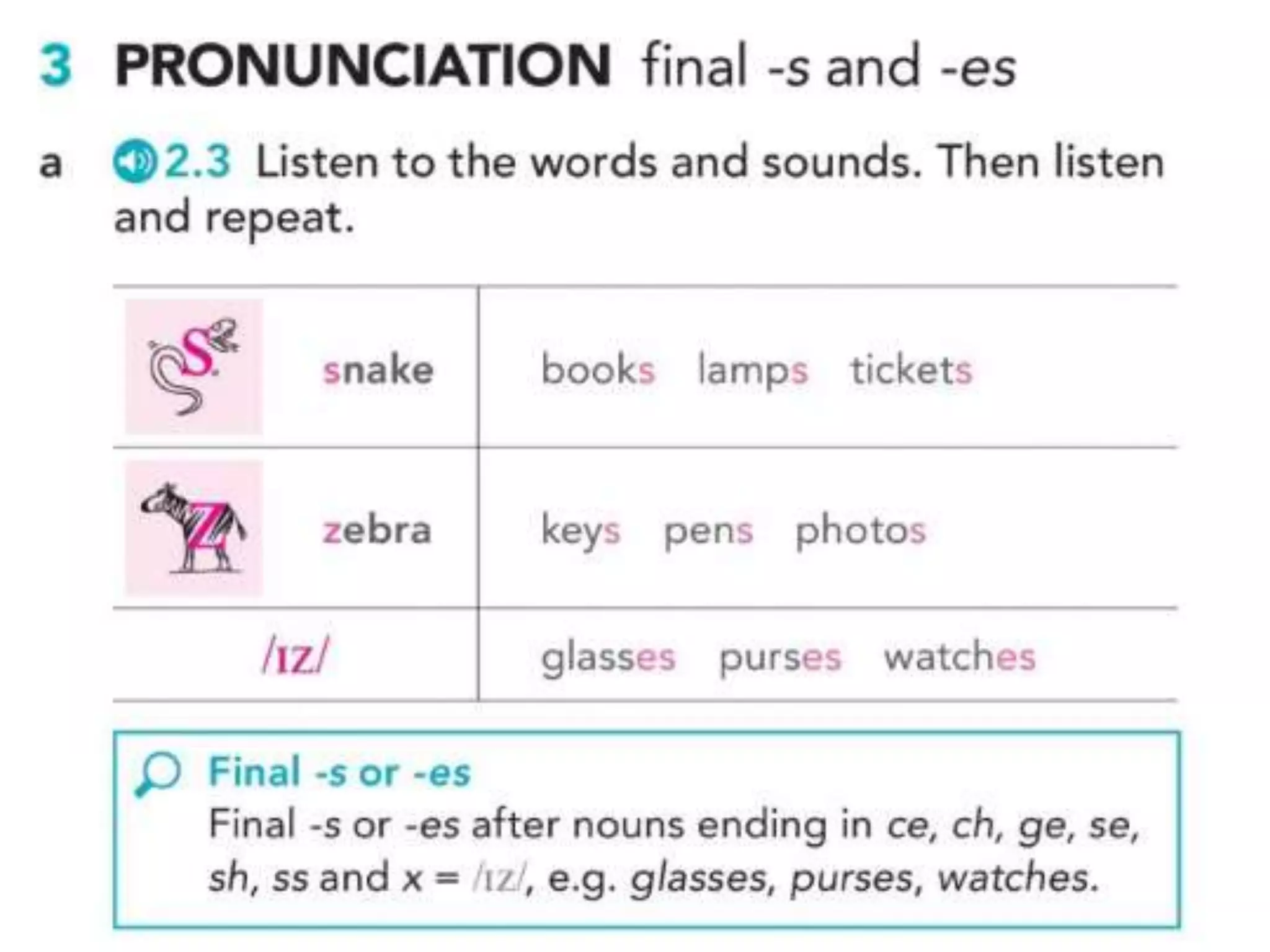 EF4E Unit 2A - Singular and plural nouns.pptx