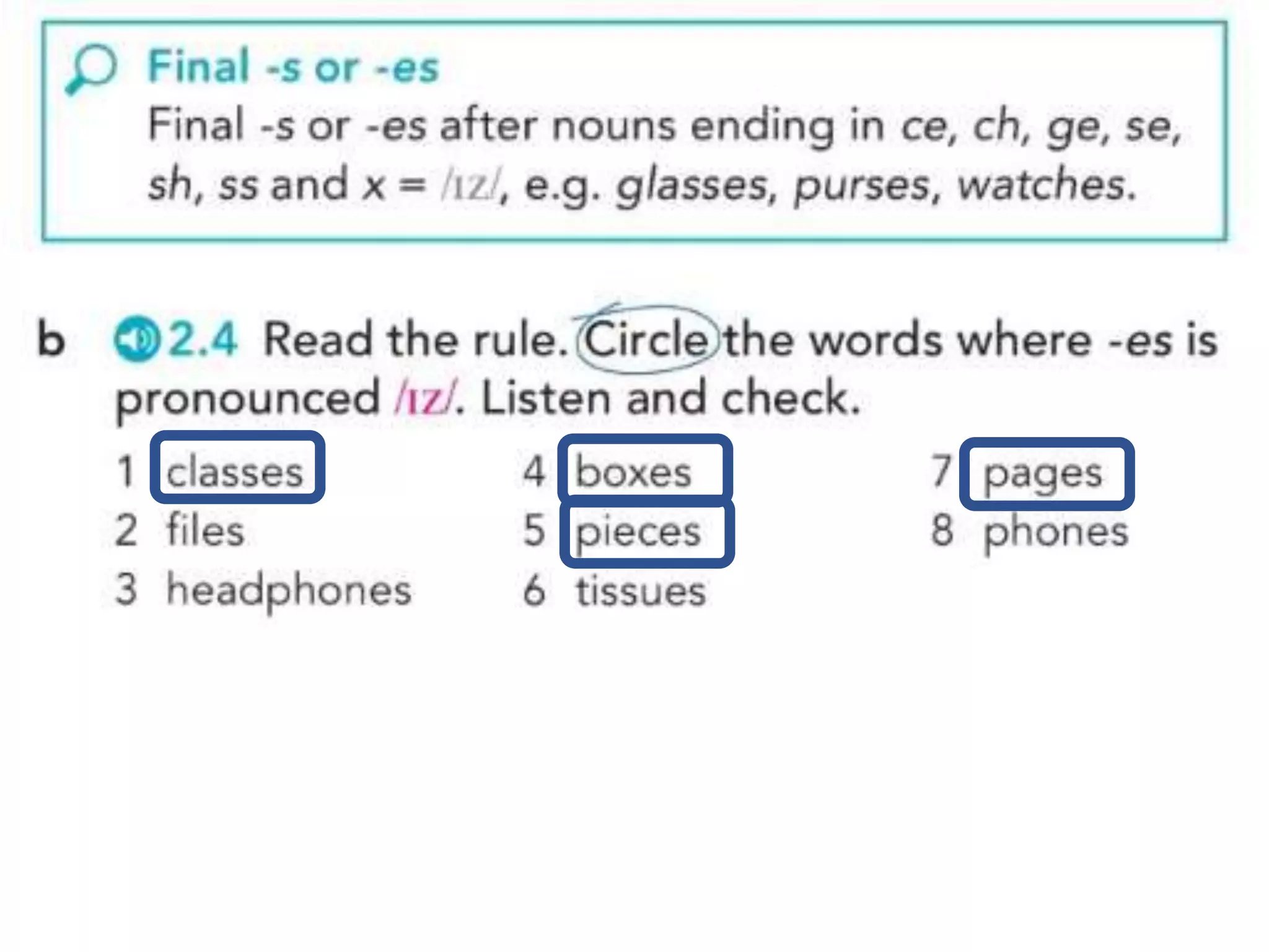 EF4E Unit 2A - Singular and plural nouns.pptx
