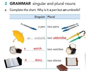 EF4E Unit 2A - Singular and plural nouns.pptx