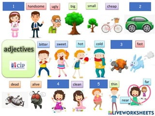 EF4E Unit 2B - Adjectives.pptx