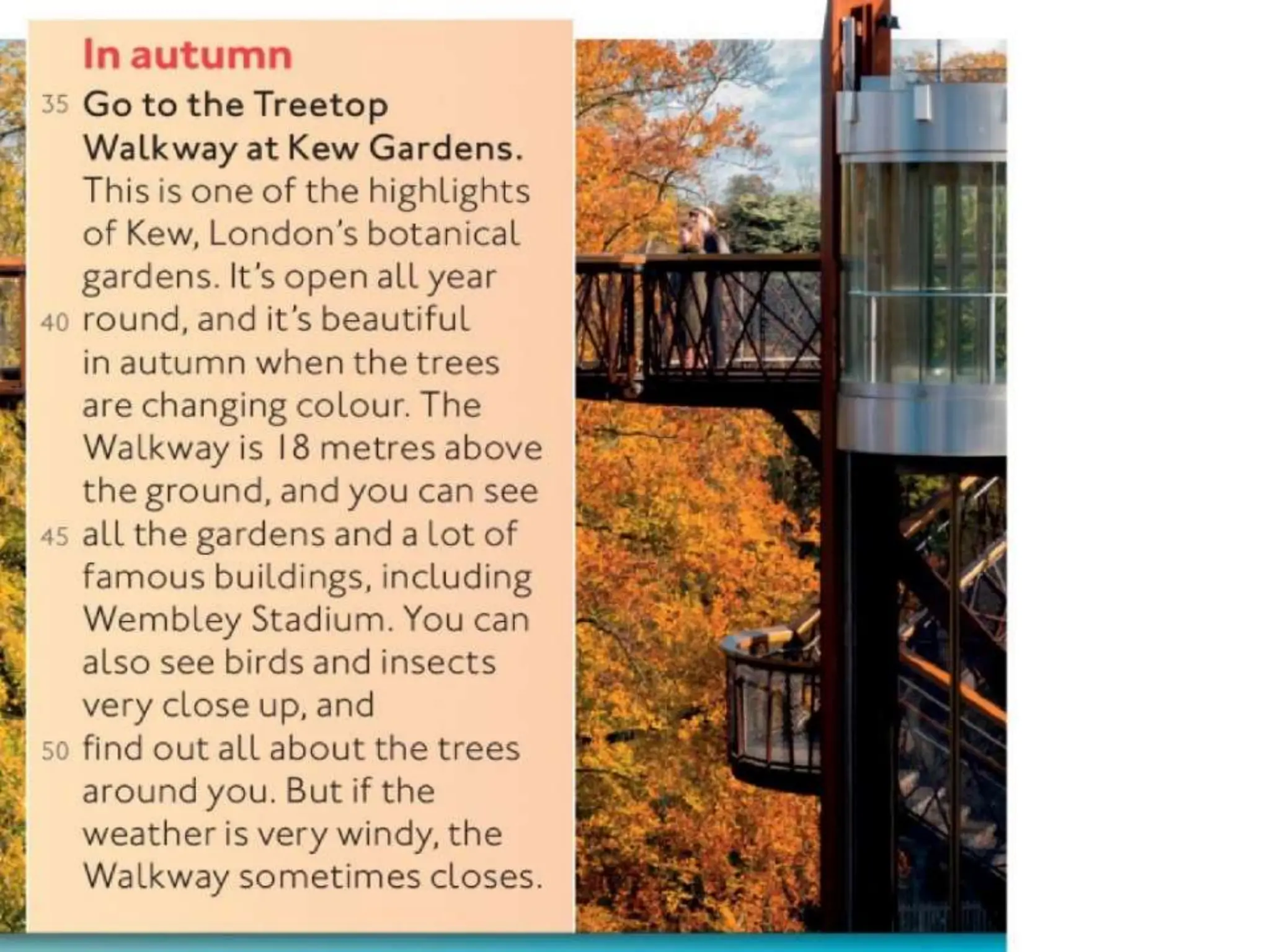 EF4E Unit 5C - Present simple or Present continuous .pptx