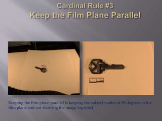 Crime Scene Photography Portfolio Final Results | PPTX