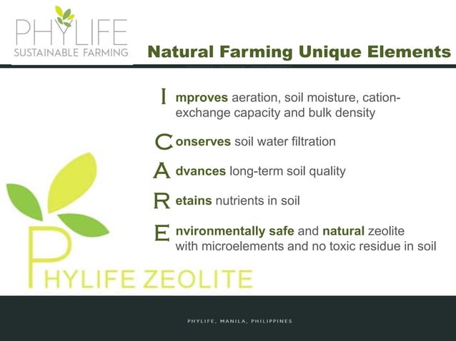 Brochure Phylife Technology | PPT