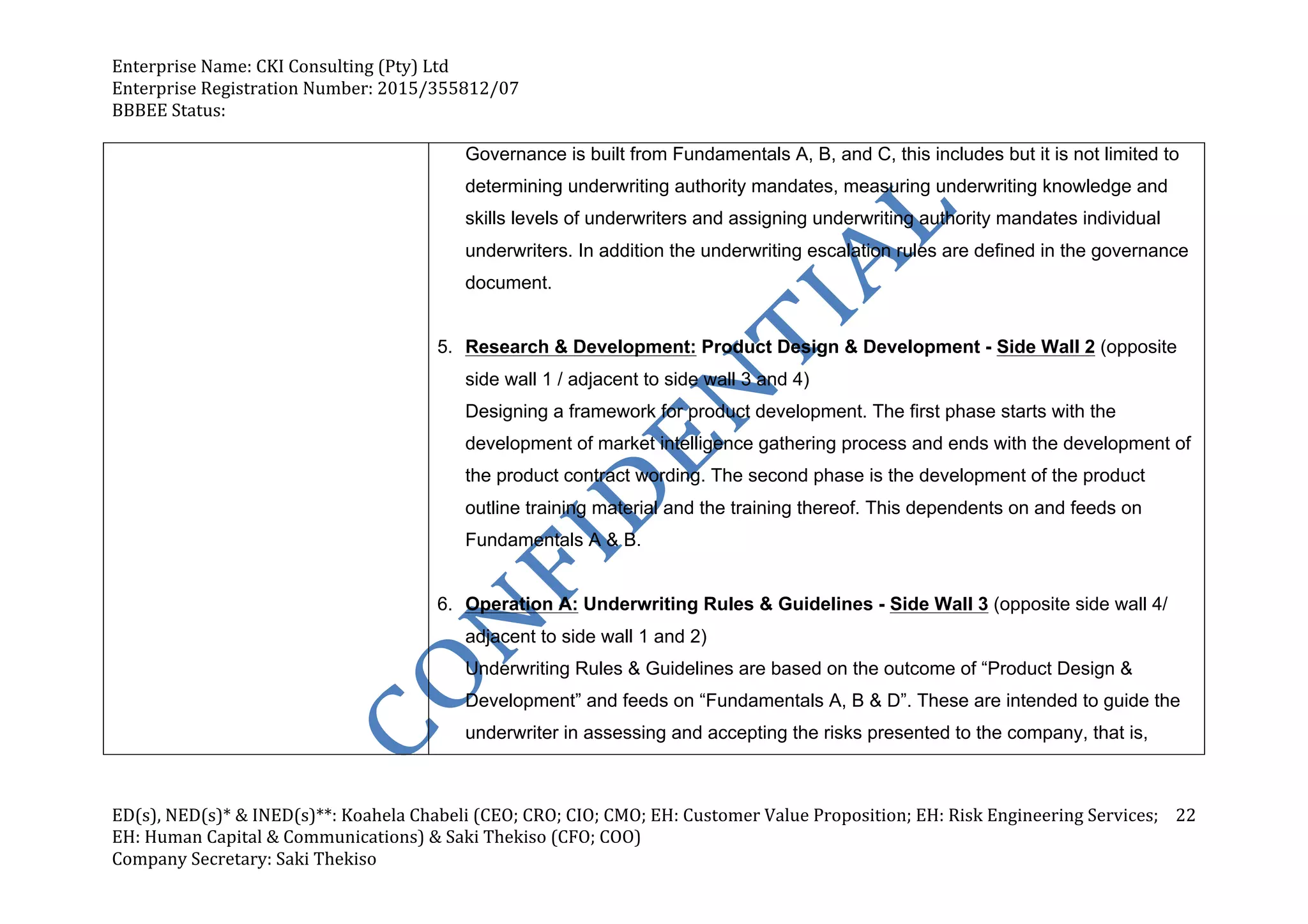 CKI Consulting Company Profile Annexure A-What We Do V1.1-03.2016.17