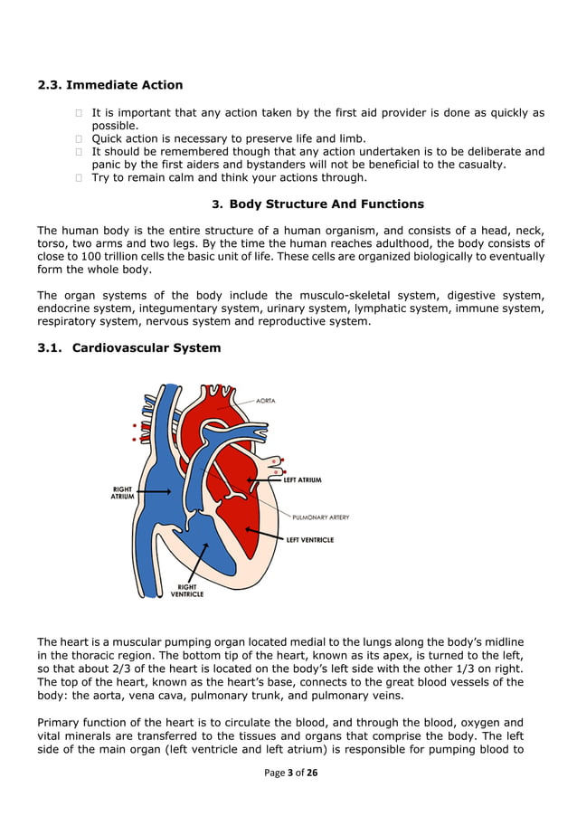Elementary First Aid(EFA) | PDF