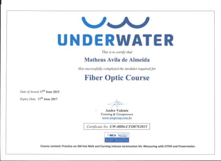 ROV Fiber Optics | PDF