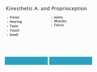 Importance of Kinesthetic and Proprioception Awareness in Athletics | PPTX
