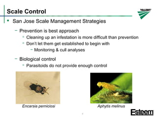 2013 Scale Control Presentation | PPT