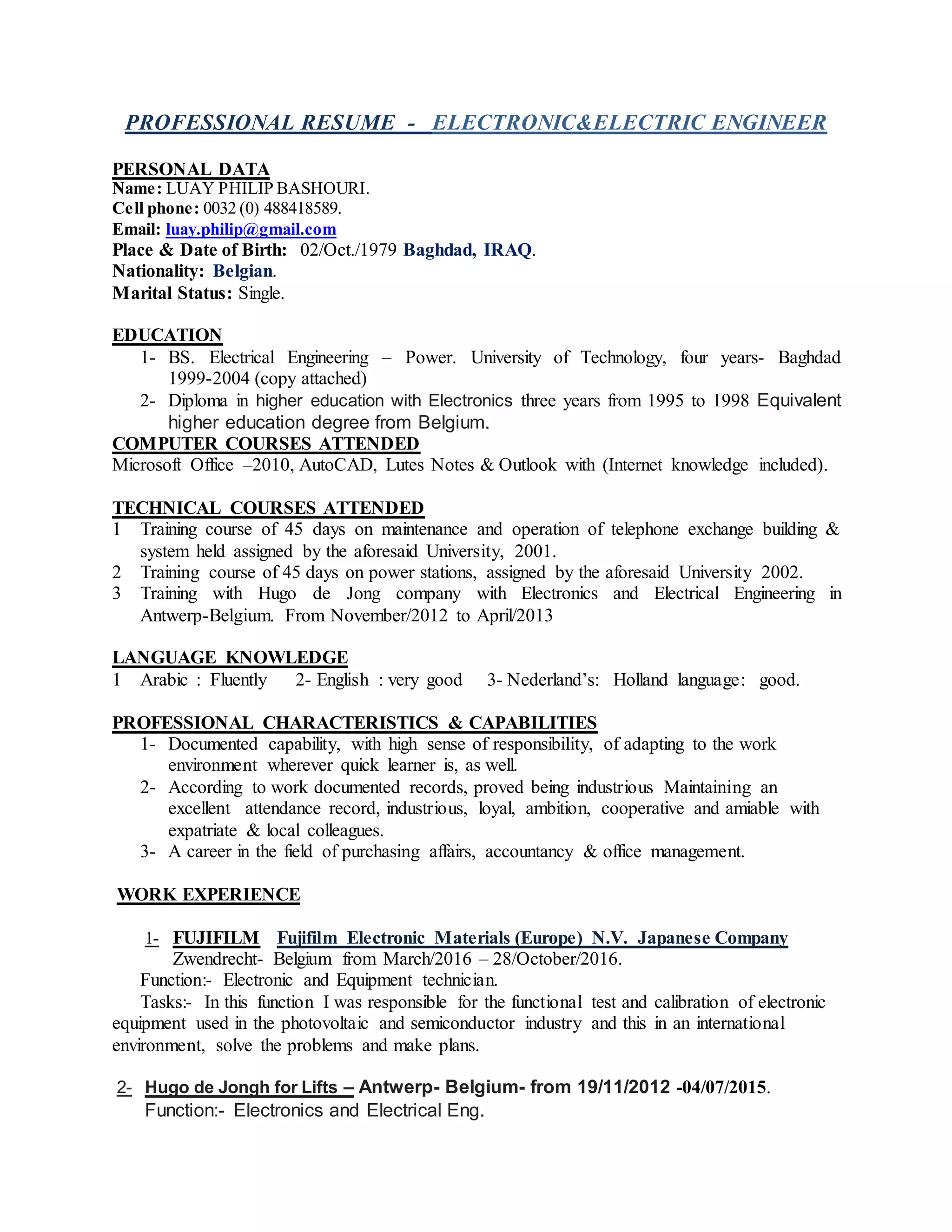 Electronic& Electrical Engineer, LUAY's PROFESSIONAL RESUME in English ...