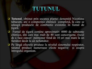 Efectele fumatului Prezentare Powerpoint | PPT