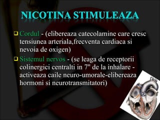 Efectele fumatului Prezentare Powerpoint | PPT