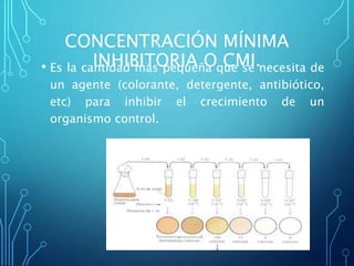 Efecto de-los-colorantes sobre el crecimiento microbiano | PPTX