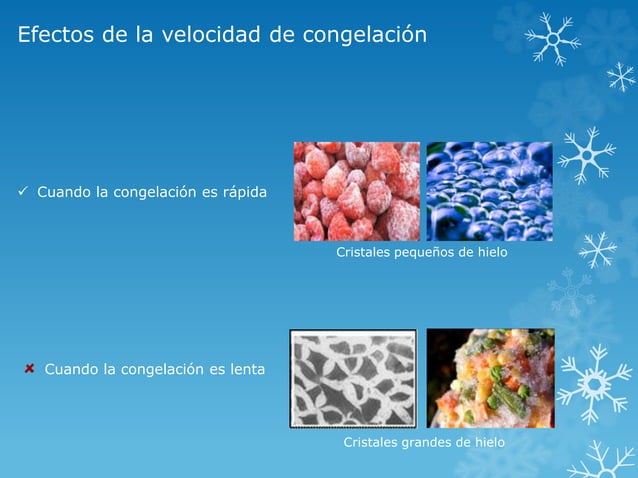 Efecto de la congelacion sobre algunas caracteristicas fisicas y ...