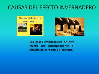 Efecto invernadero | PPTX