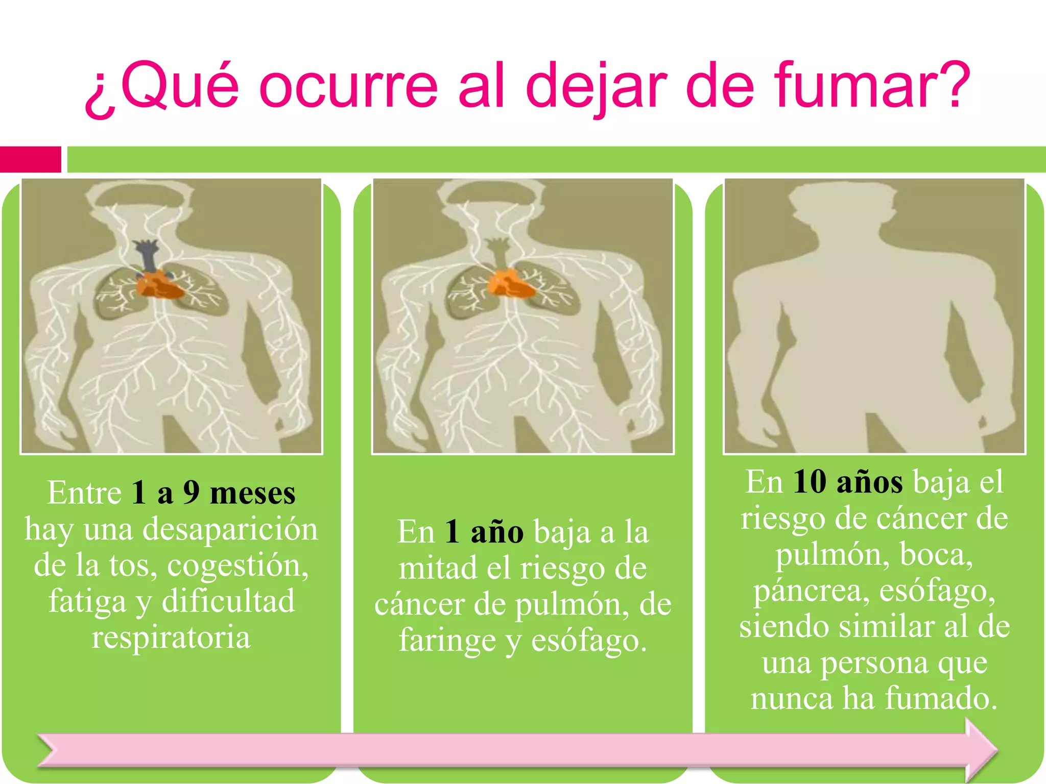 Efectos de fumar en el sistema respiratorio | PPTX | Illegal Drugs ...