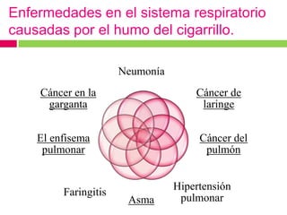 Efectos de fumar en el sistema respiratorio | PPTX