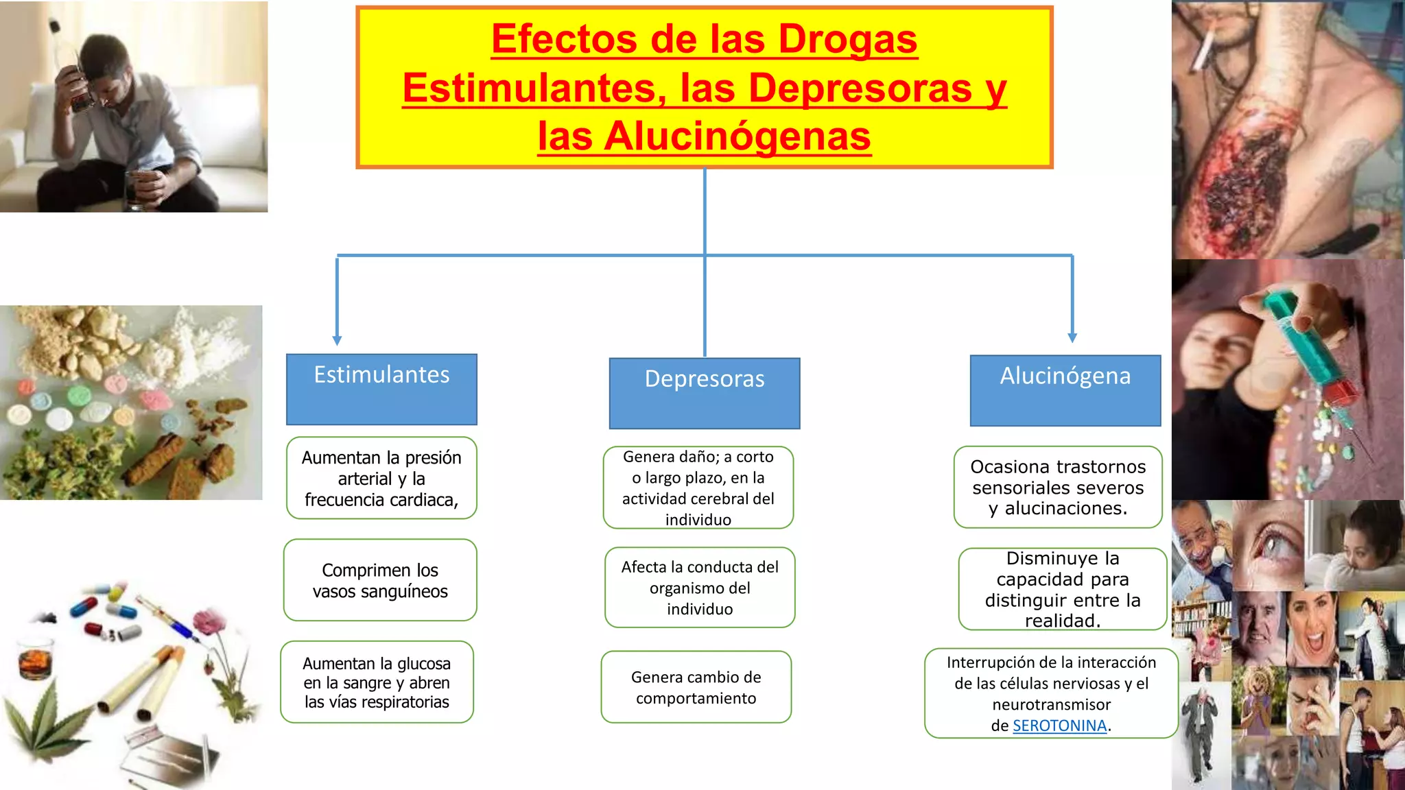 Efectos De Las Drogas Ppt