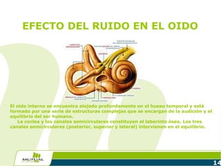 Efectos del Ruido en la Salud de las personas.ppt