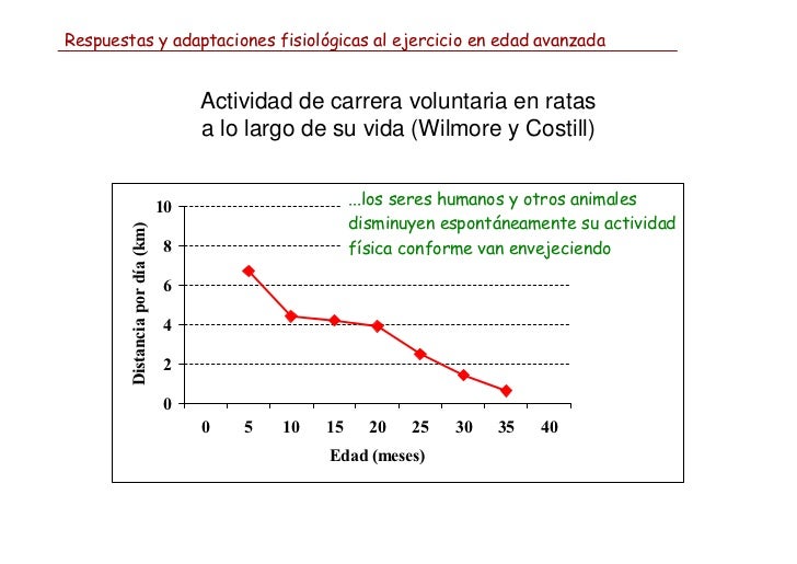 Una Edad Relativa Que Data Respuestas De La Actividad - mirar cita medico