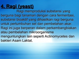 macam-macam efektif mikroorganisme (EM) atau MOL | PPT