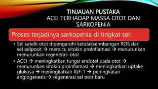 EFEK ACEI TERHADAP MASSA OTOT DAN SARKOPENIA.pptx