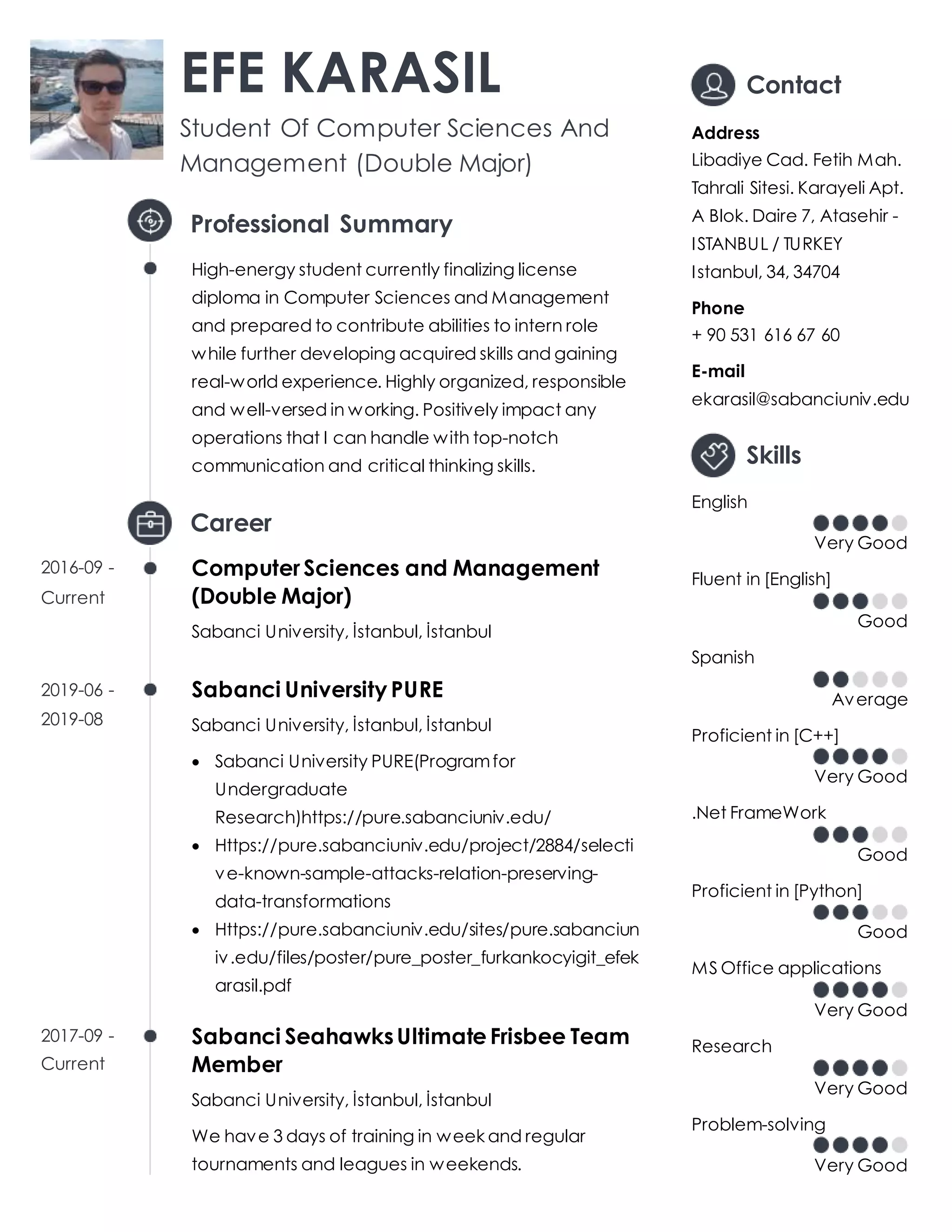 Efe Karasıl CV | PDF