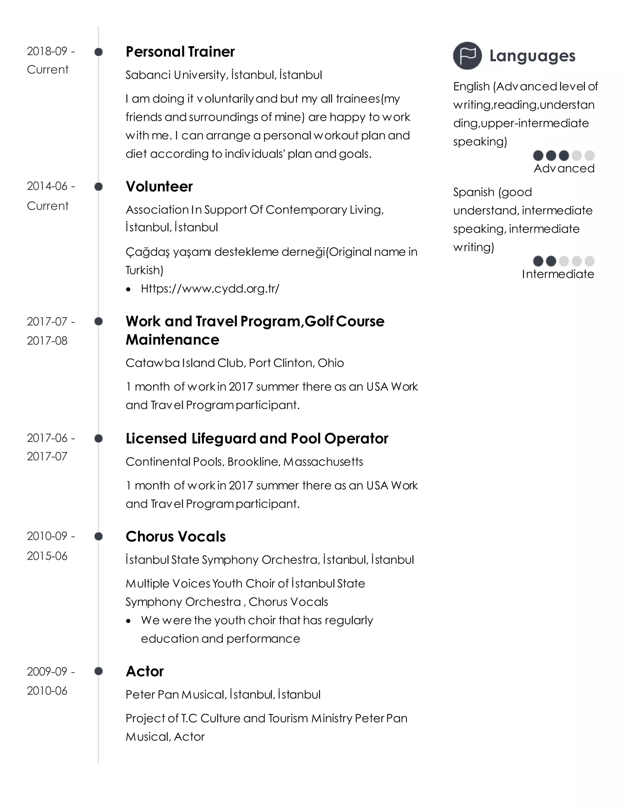 Efe Karasıl CV | PDF