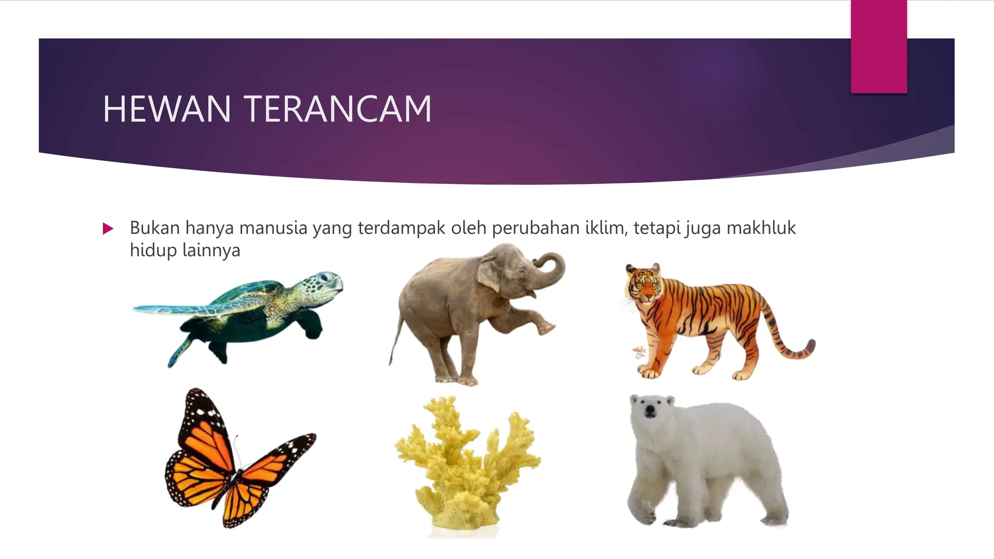 EFEK GAS RUMAH KACA PROJEK PENGUATAN PROFIL PELAJAR PANCASILA | PPT